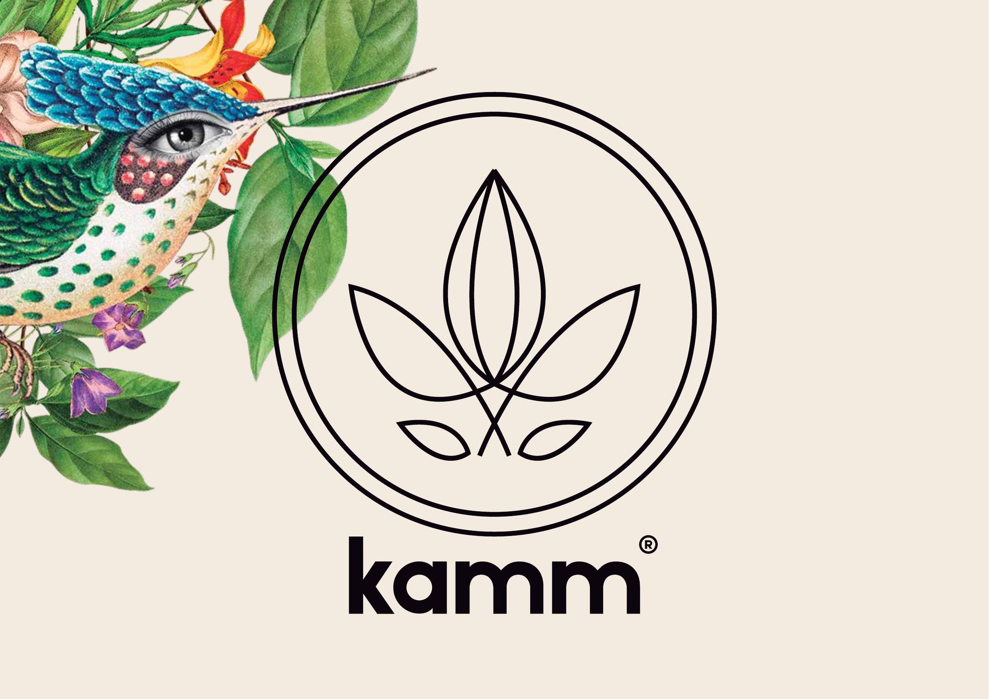 Kamm chocolates - Premium Ecuadorian Cacao tree-to-bar craft chocolate